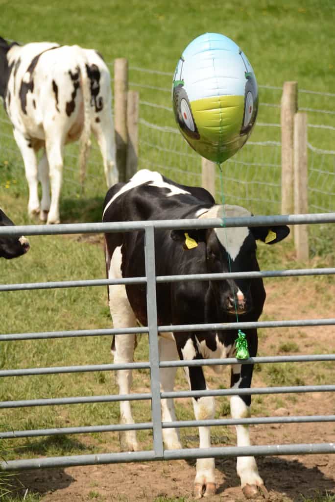 Family fun at Open Farm Sunday – Ernespie Farm Castle Douglas