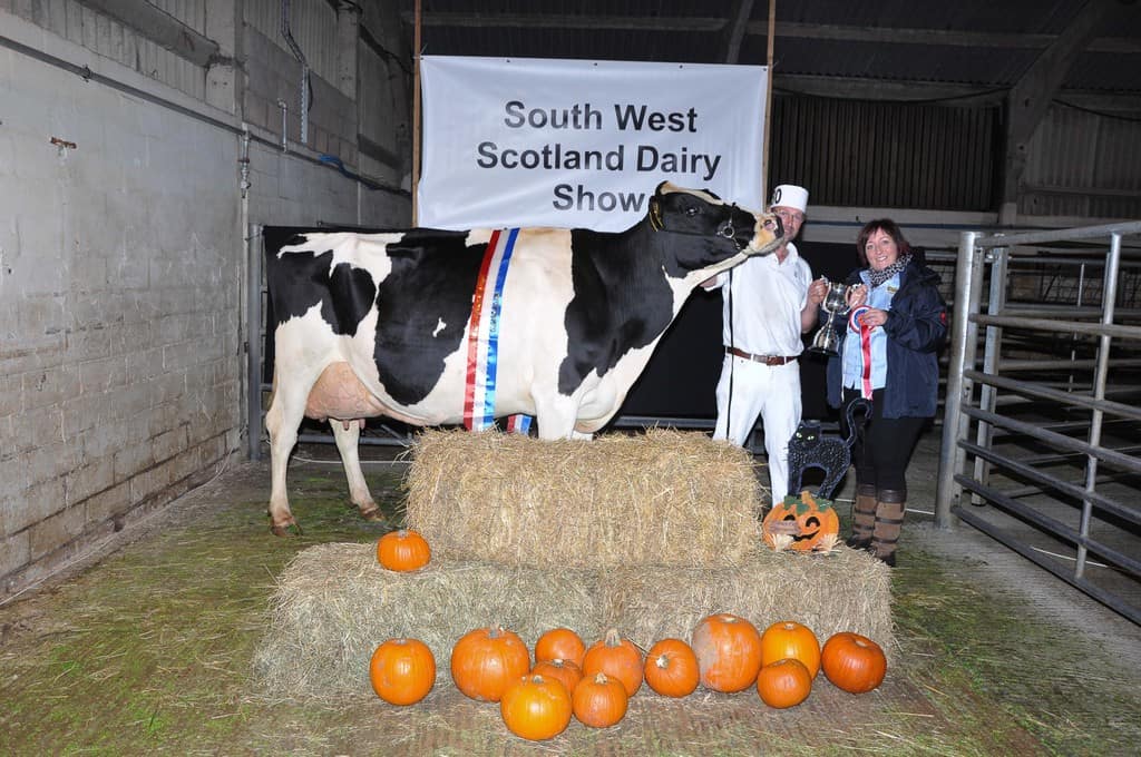 Grand Display of Breeds at the 2018 South West Scotland Dairy Show
